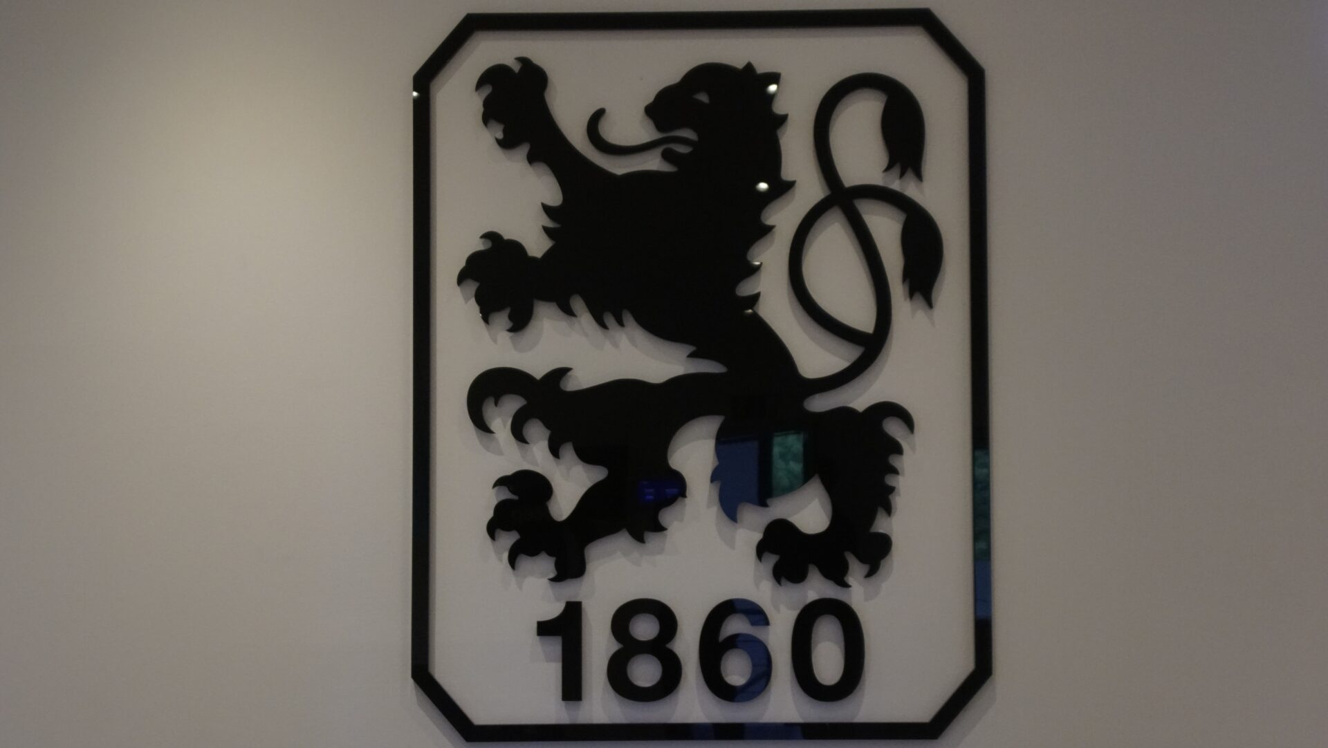 Rise & Fall TSV 1860 München - die Themen im Überblick