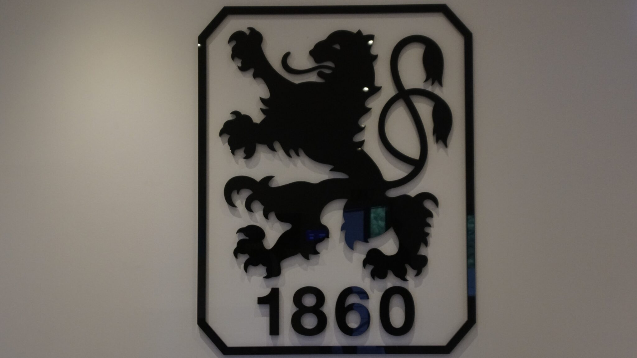 Rise & Fall TSV 1860 München - die Themen im Überblick
